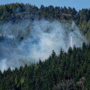 Wildfire Mitigation - TID Water & Power
