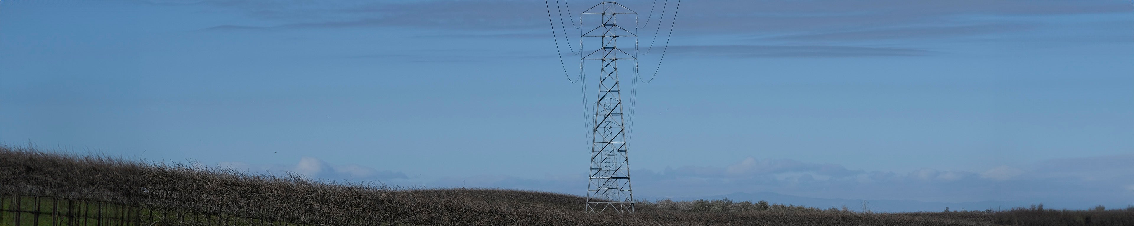 Tree and Power Line Protection - TID Water & Power